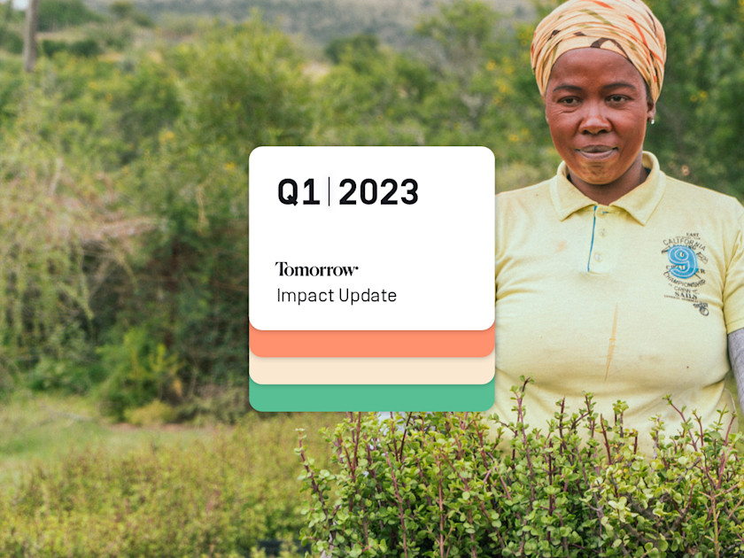 The Tomorrow Impact Update | Q1 | 2023