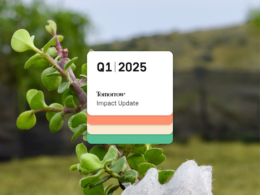 Das Tomorrow Impact Update | Q1 | 2025