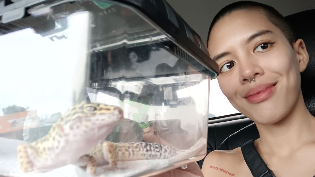 Master Selector | Versailles & sleepypasta