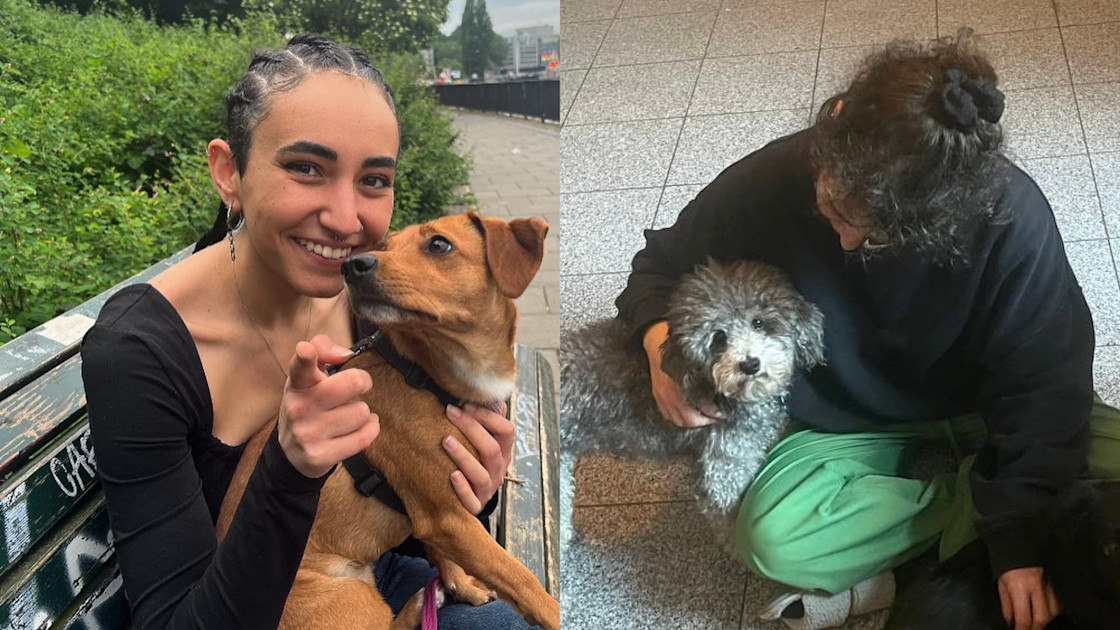 Therapy Dog | ophélie & Aalia