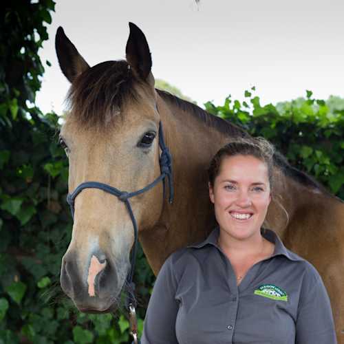 Station Street Vet Clinic