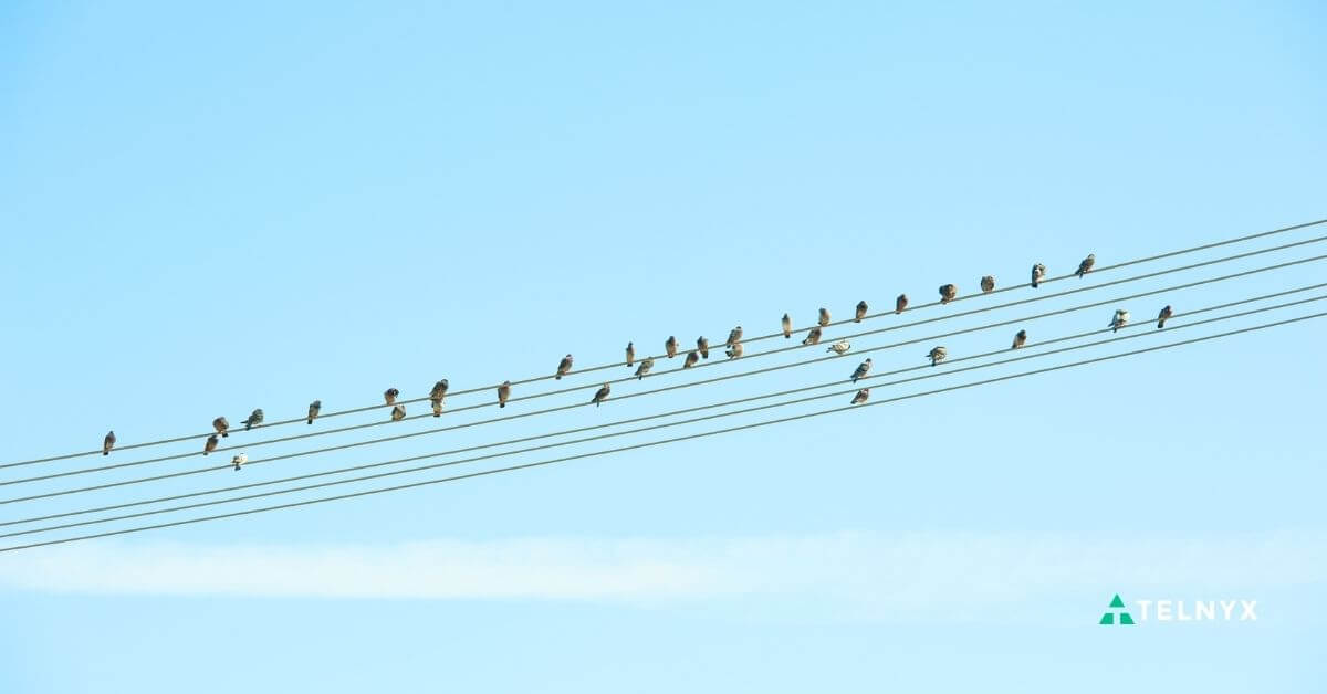 What is PSTN and How it Works | Complete Guide [2022]