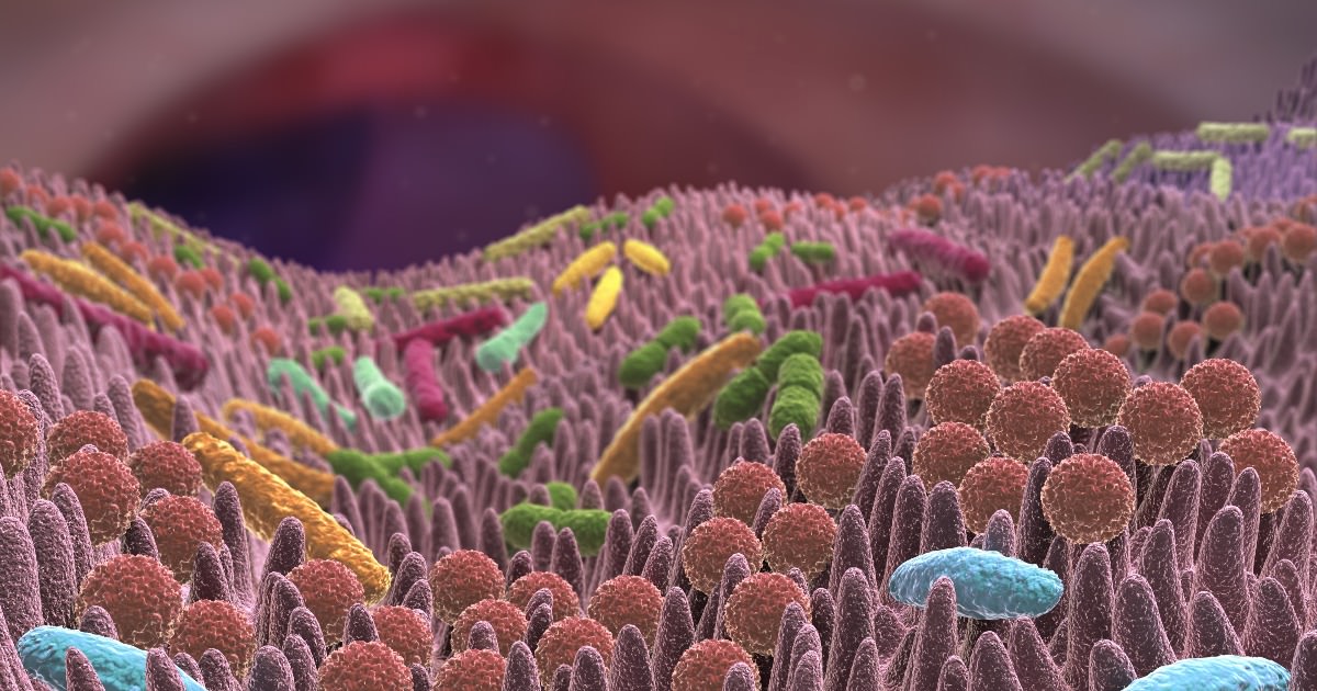 Microbiome test & health dashboard analytics | i-screen