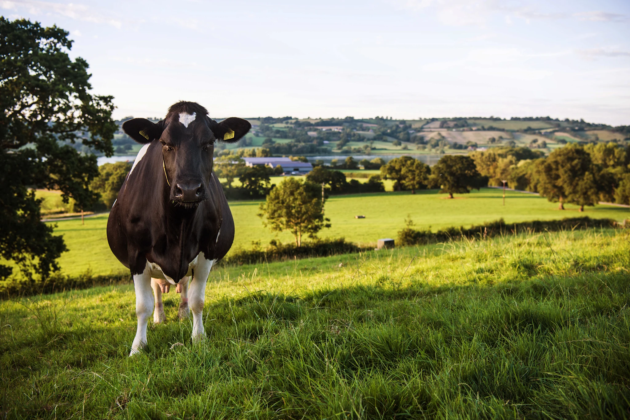 What Is Organic September? - Yeo Valley Organic