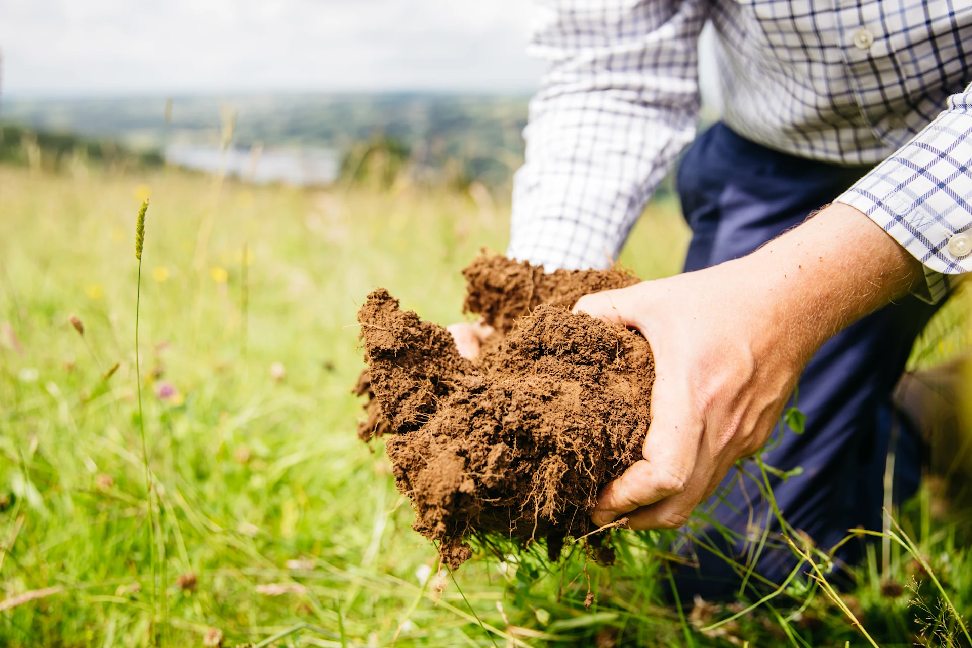 Soil - One Of The Most Important Weapons In The Fight Against Climate ...