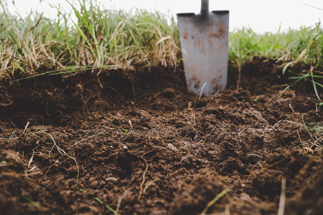 Soil - One Of The Most Important Weapons In The Fight Against Climate ...