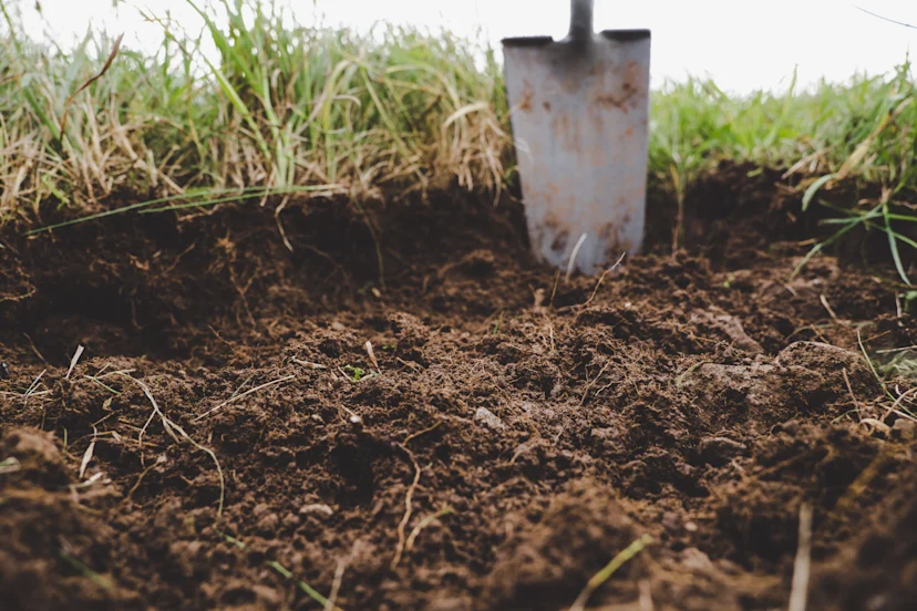 Soil - One Of The Most Important Weapons In The Fight Against Climate ...