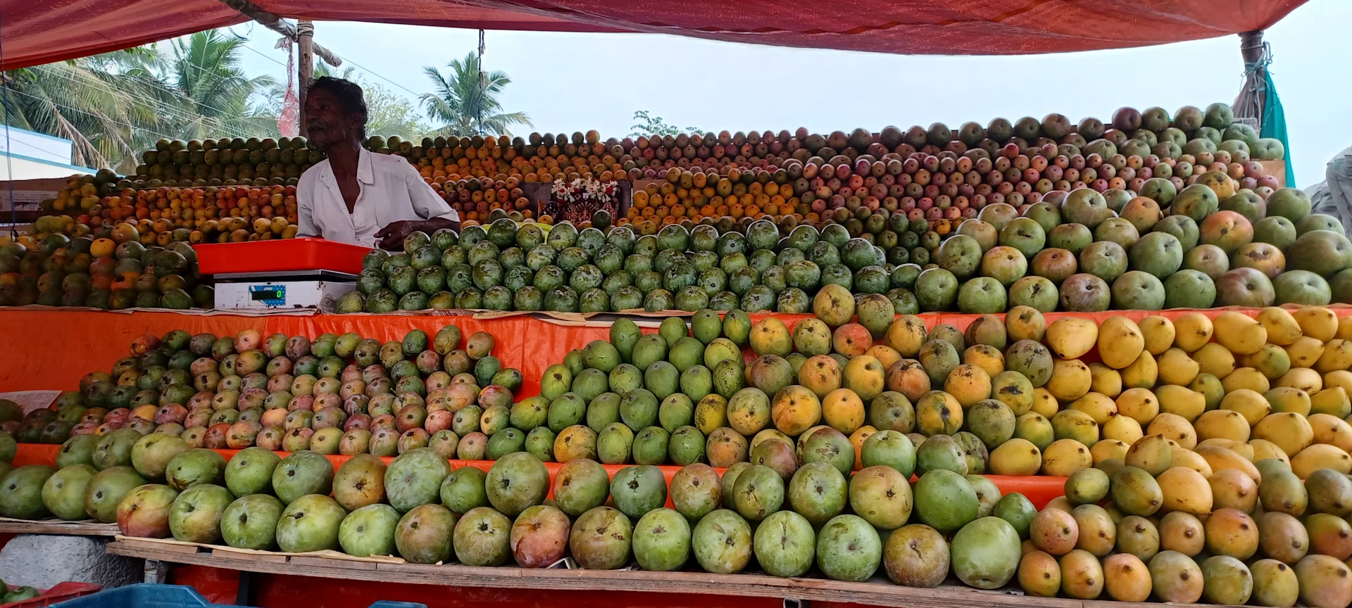 Alphonso 'King of Mangoes' - Yeo Valley Organic