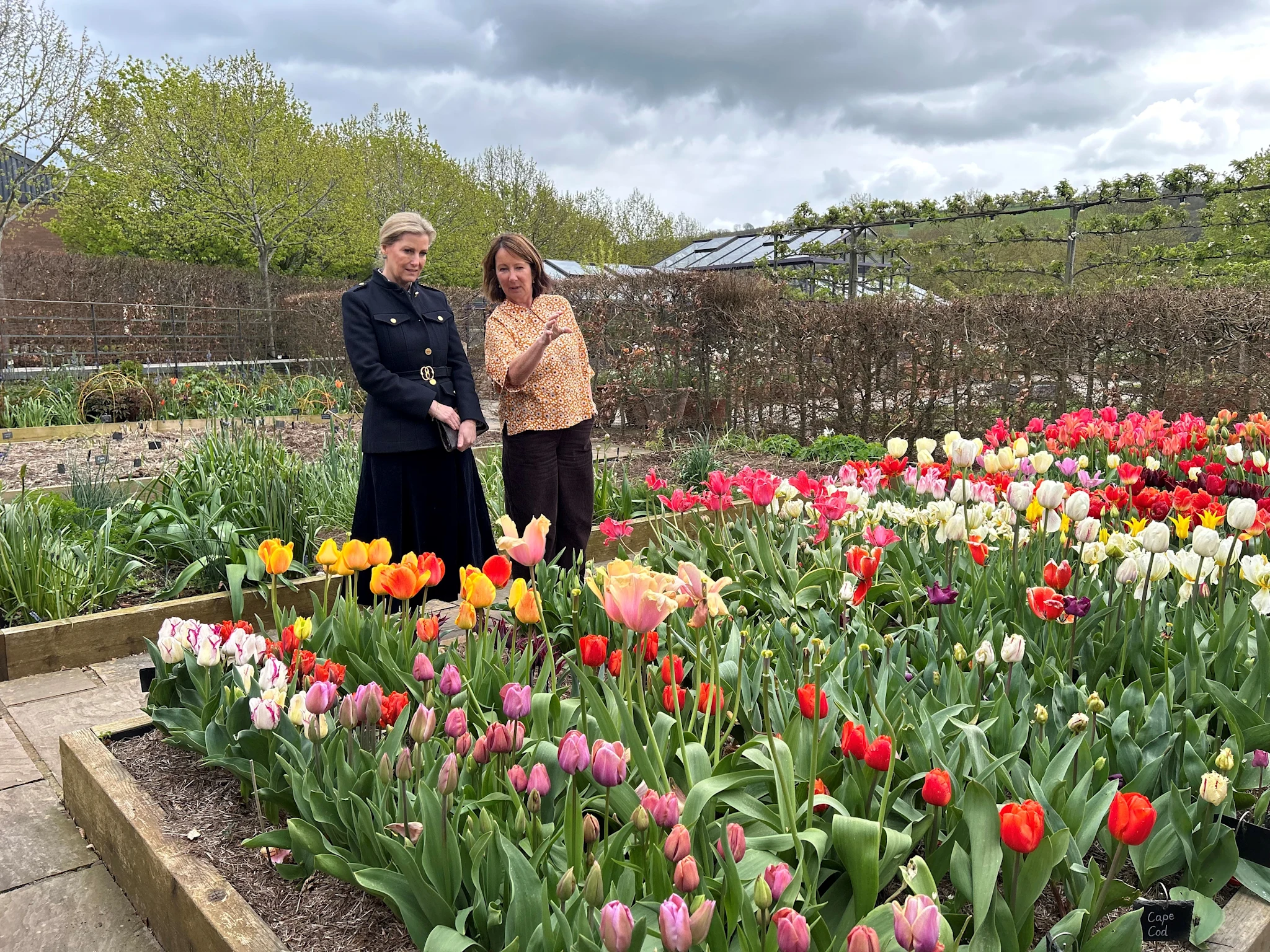 Her Royal Highness The Duchess Of Edinburgh Visits Yeo Valley Organic ...