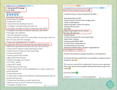 Unveiling the complexity of Telegram phishing markets and scams