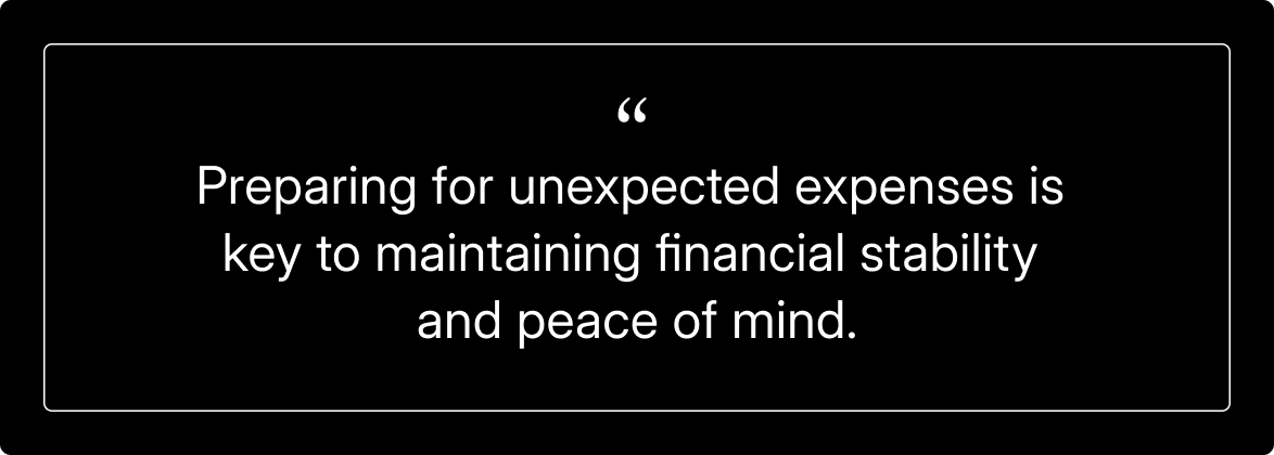 Unexpected Expenses Quotes Supplementary Budget 'not A Rushed Secret'
