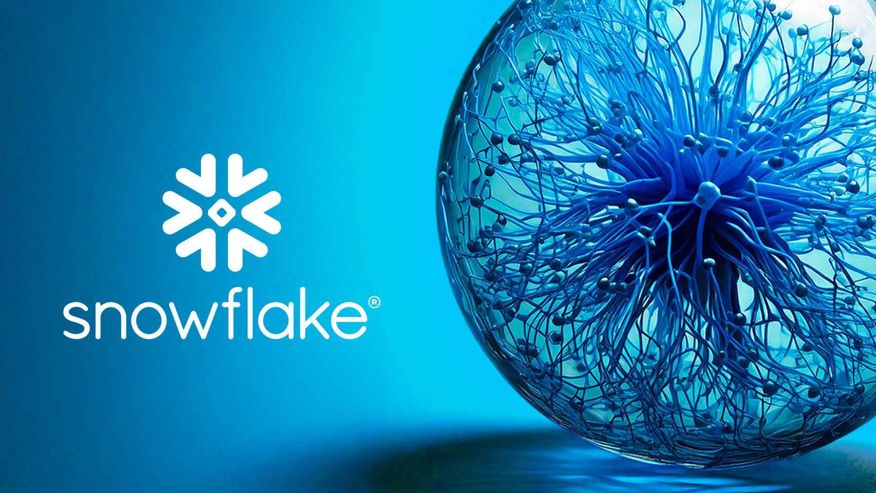 Keyrus et Snowflake : une alliance pour booster l’innovation en Biotech ...