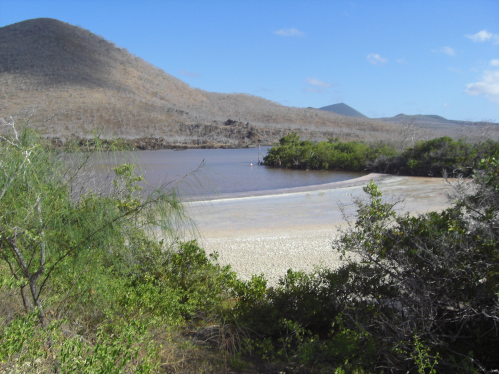 Galapeos | isla Floreana, Galapagos
