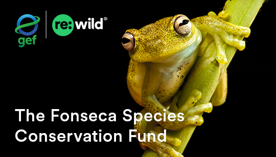 Re:wild | Re:wild.org • Fonseca Species Conservation Fund