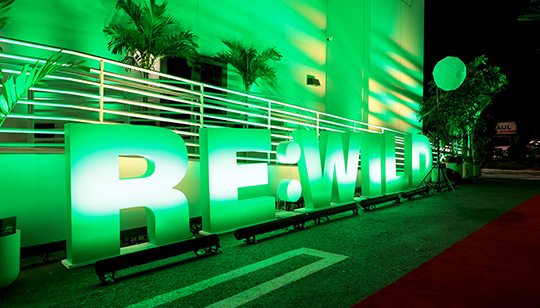 Re:wild hosted ‘Art of Nature’ event at Art Basel with Chair and CEO ...