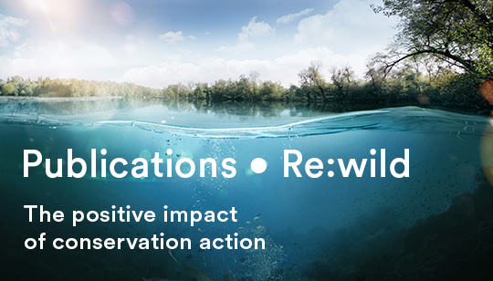 Publications • Re:wild | The positive impact of conservation action
