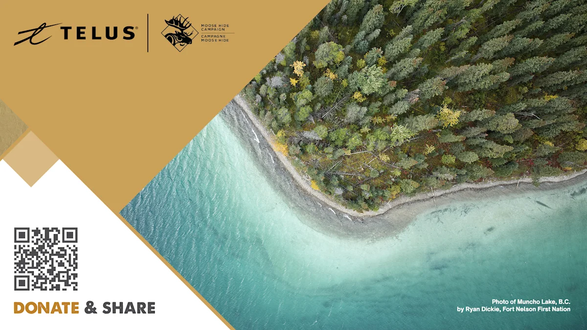 Key takeaways from the Moose Hide Campaign