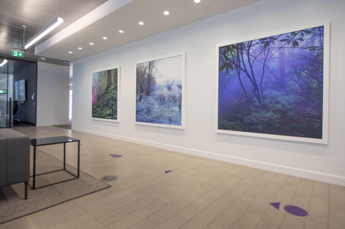 A closer look into TELUS Sky