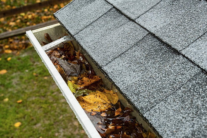 An Easy To Follow Fall Home Maintenance Checklist Selectquote