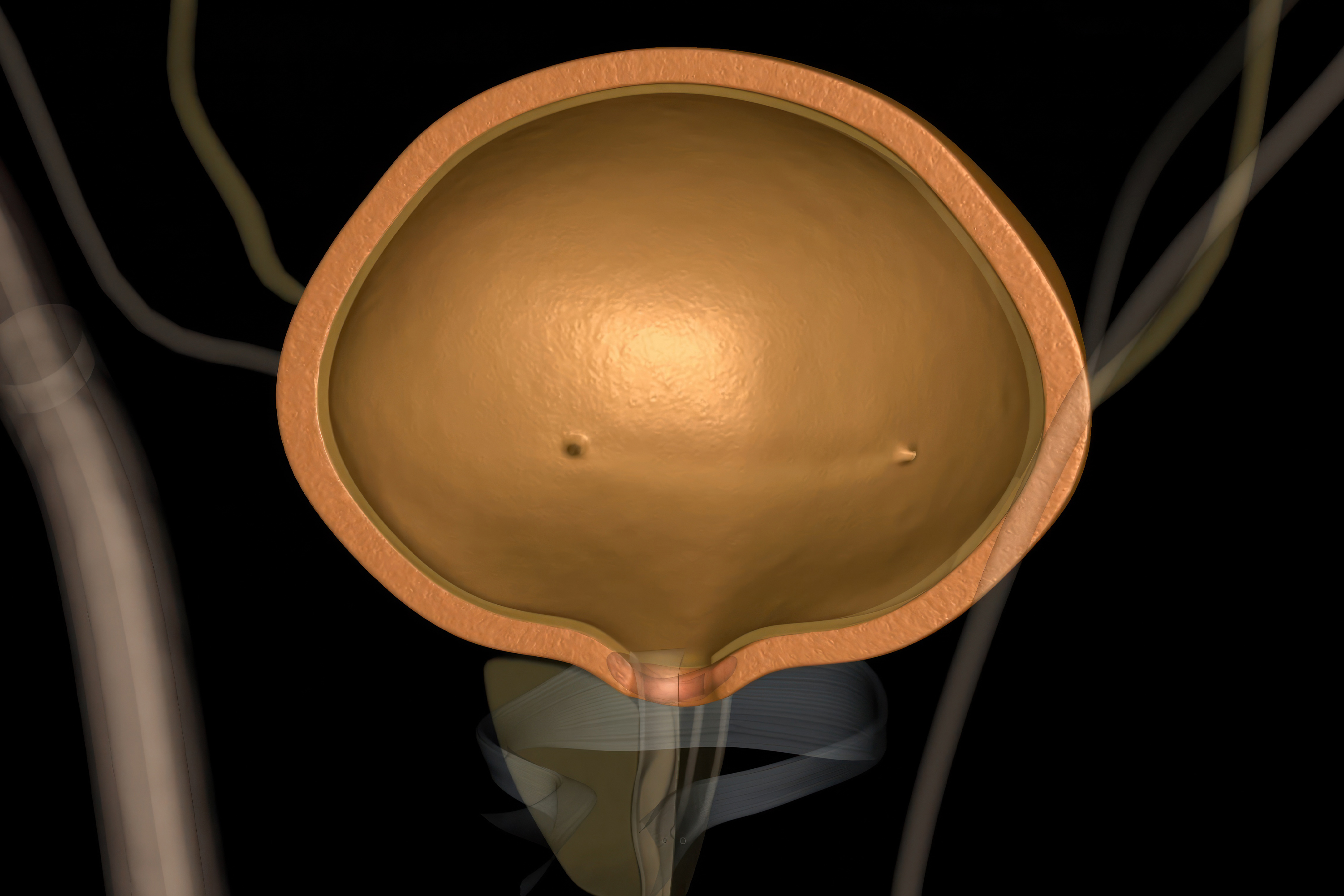 Despite ADC’s Withdrawal, TROP2 Targeting Still Has Potential in ...