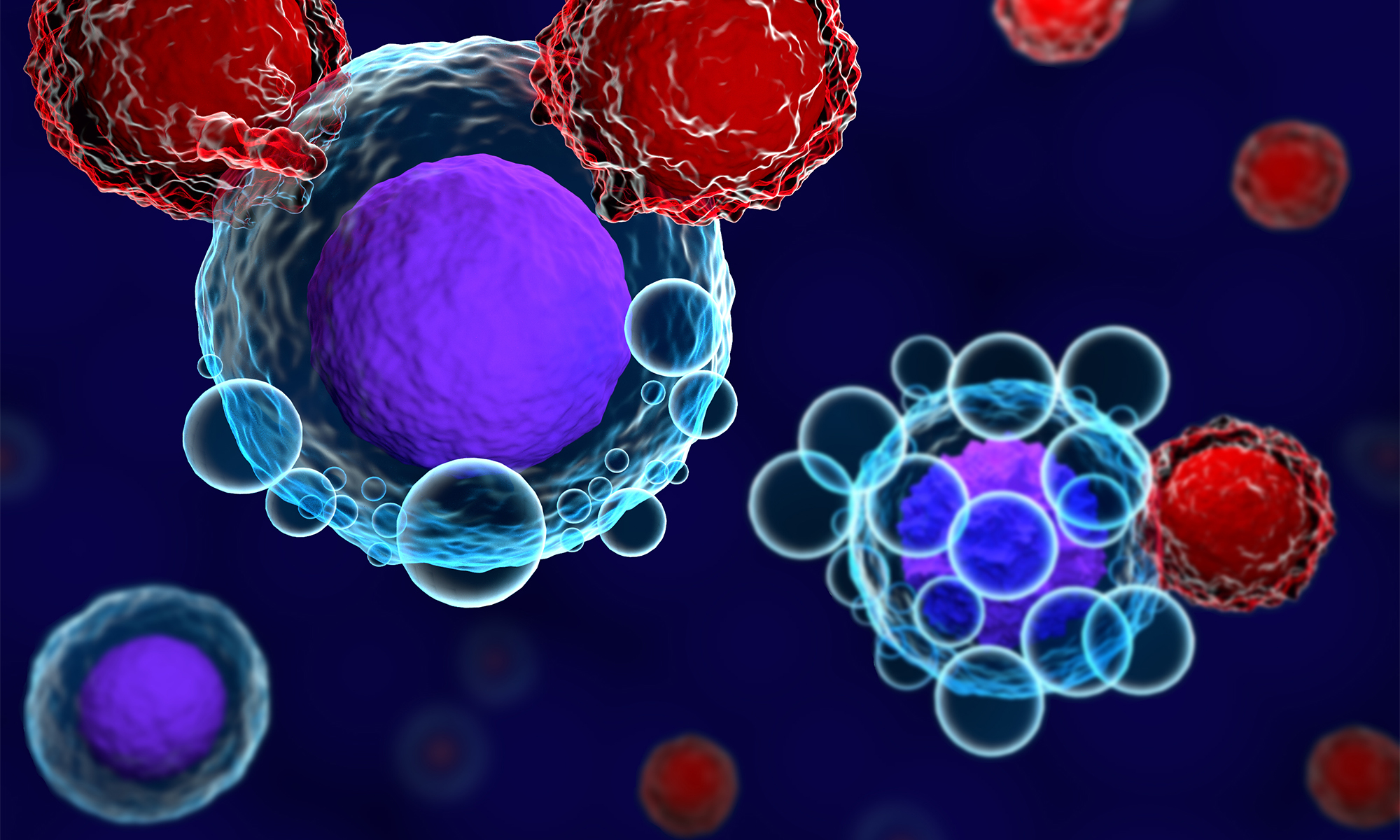 Will Cilta-Cel Be the Next CAR T-Cell Approval in Myeloma?