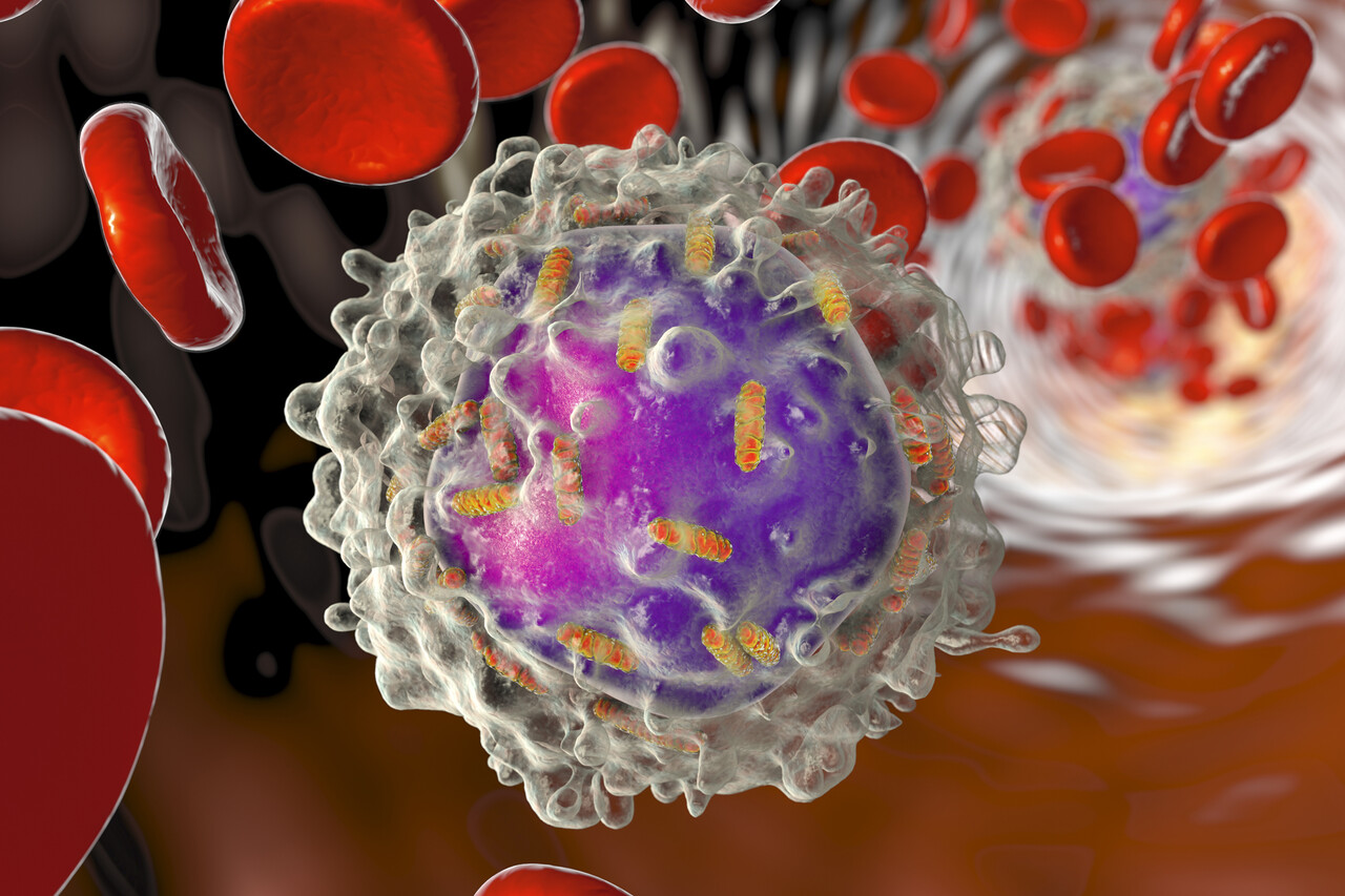 Asciminib Study Shows Sustained Improvement, Fewer Adverse Effects