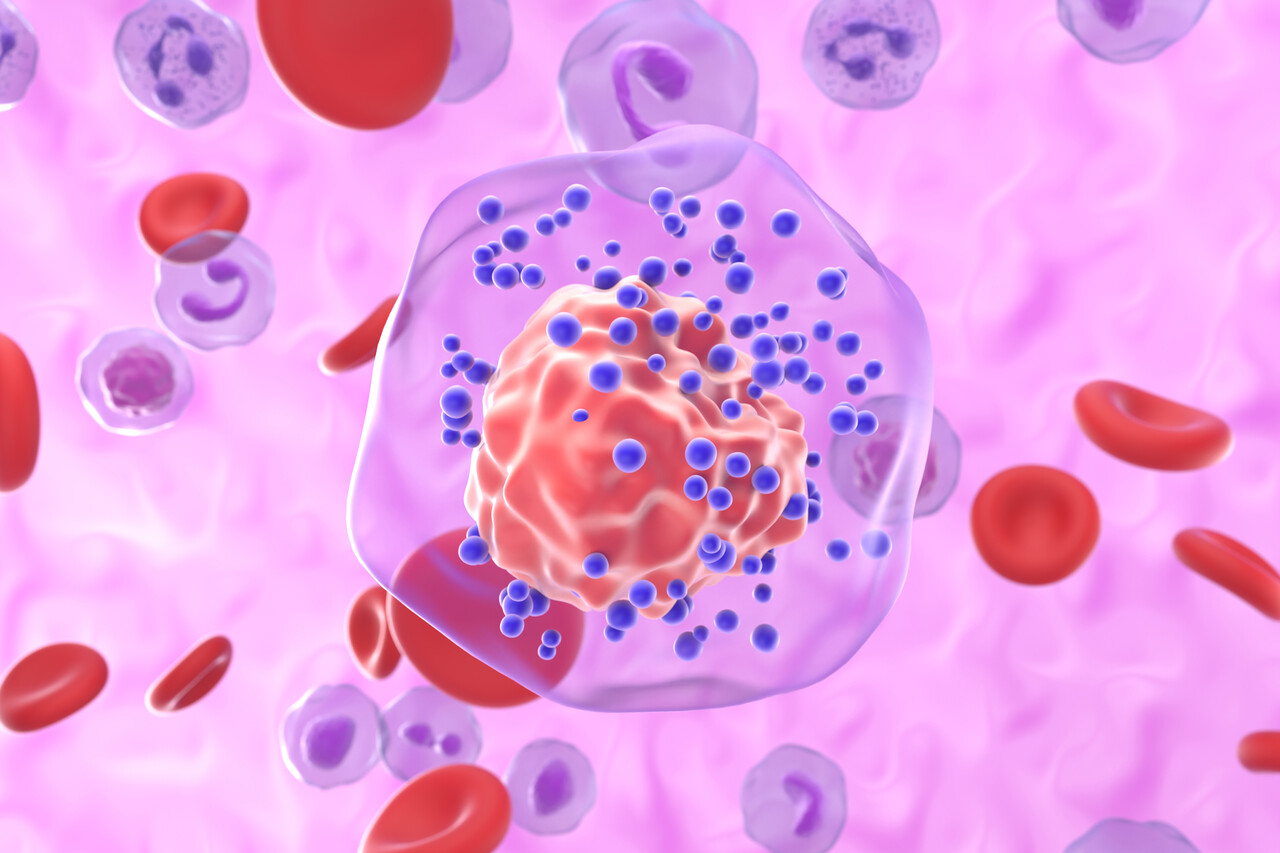 Updates in HER2-Positive Advanced Breast Cancer