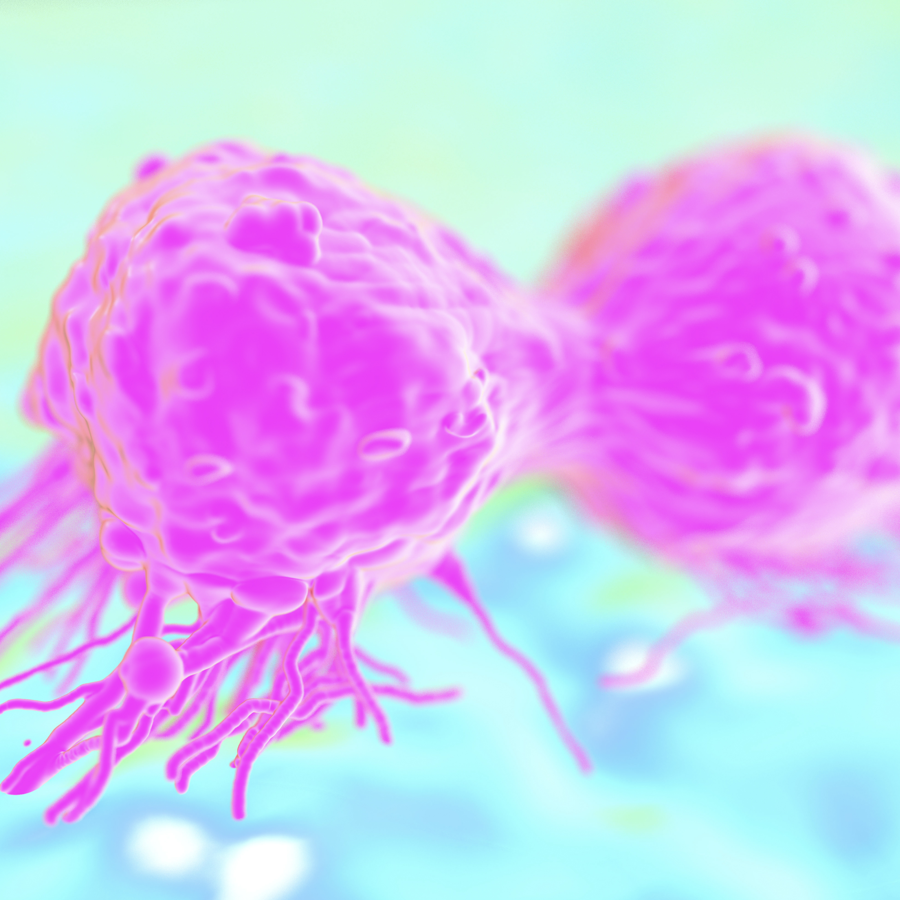 Wave of Pivotal Data Hits HER2-Positive Breast Cancer Care