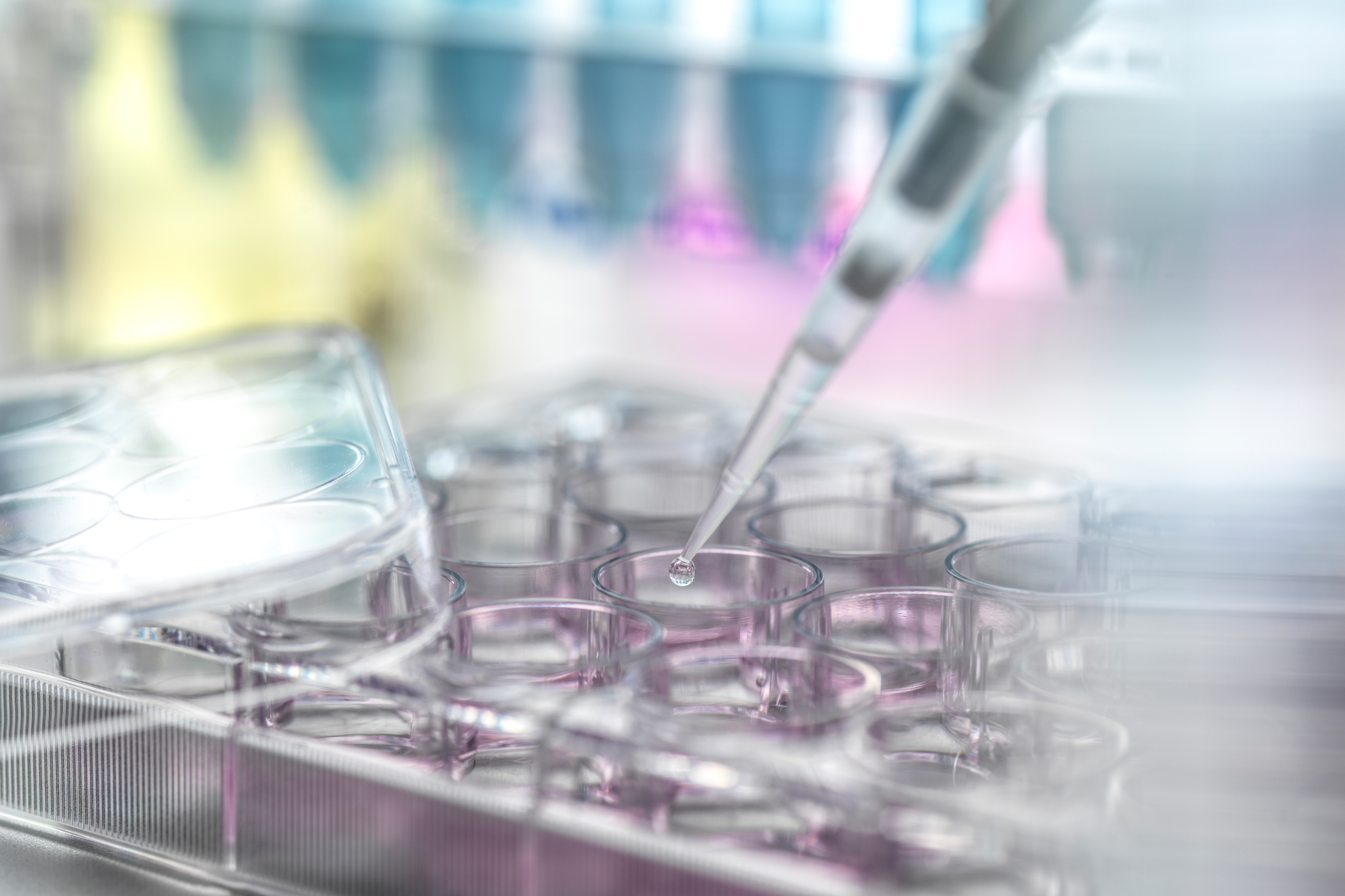 FDA Approves Treosulfan (Grafapex) Regimen for HSCT Prep in Patients ...