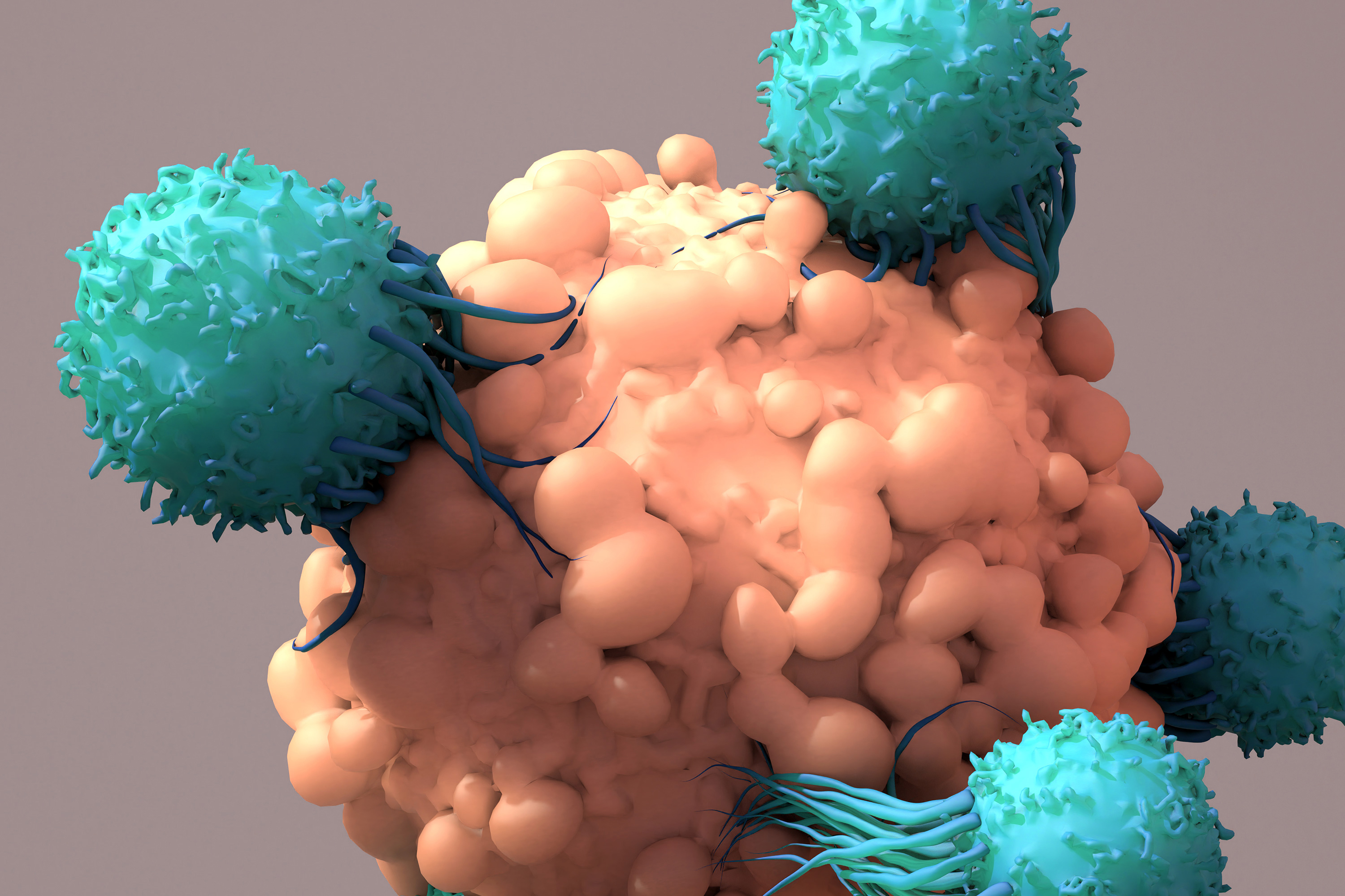 Pembro Plus Chemo Benefits Solidify in Metastatic Triple-Negative ...