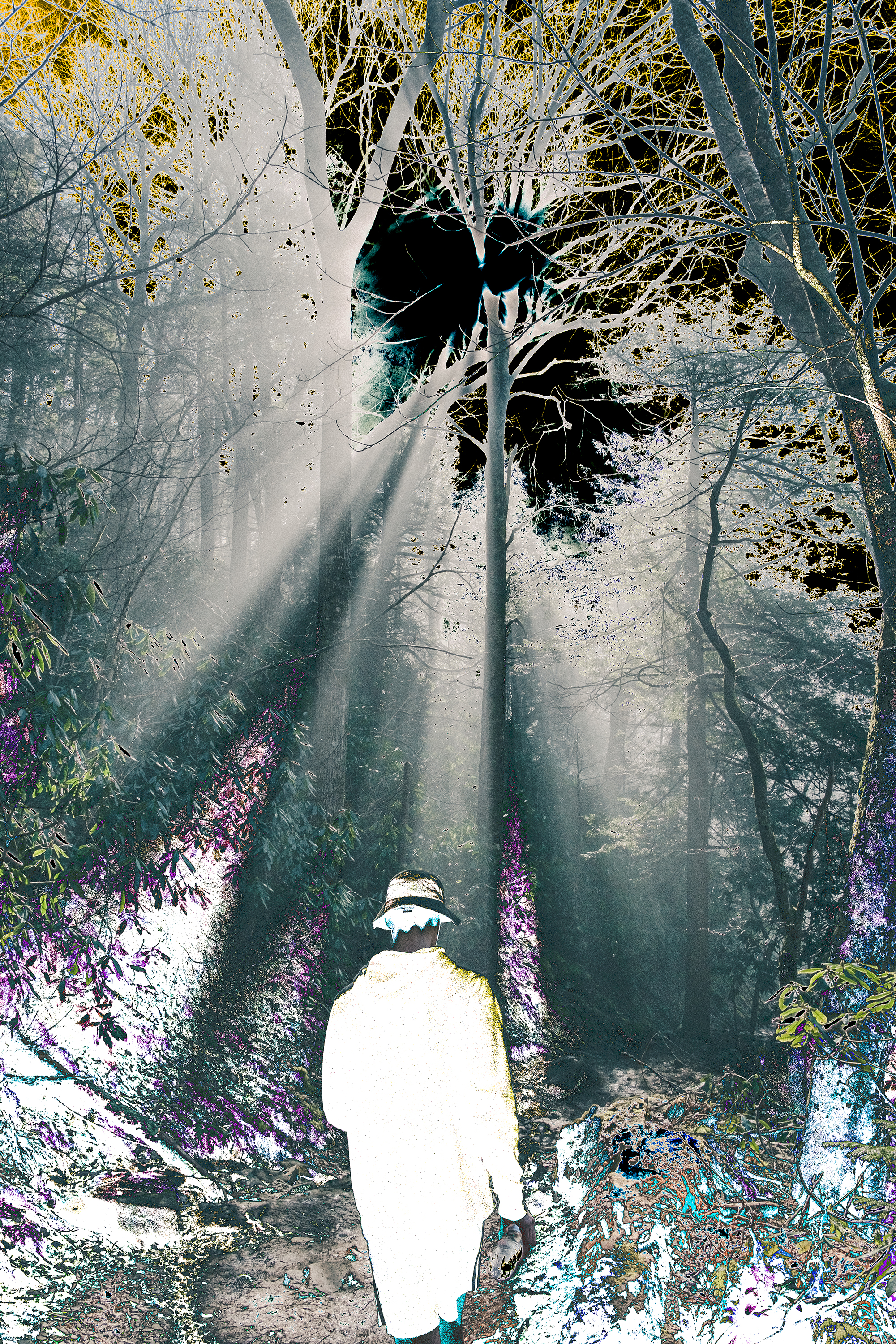 Max Mitchell | spring_break, 2020 //glitched