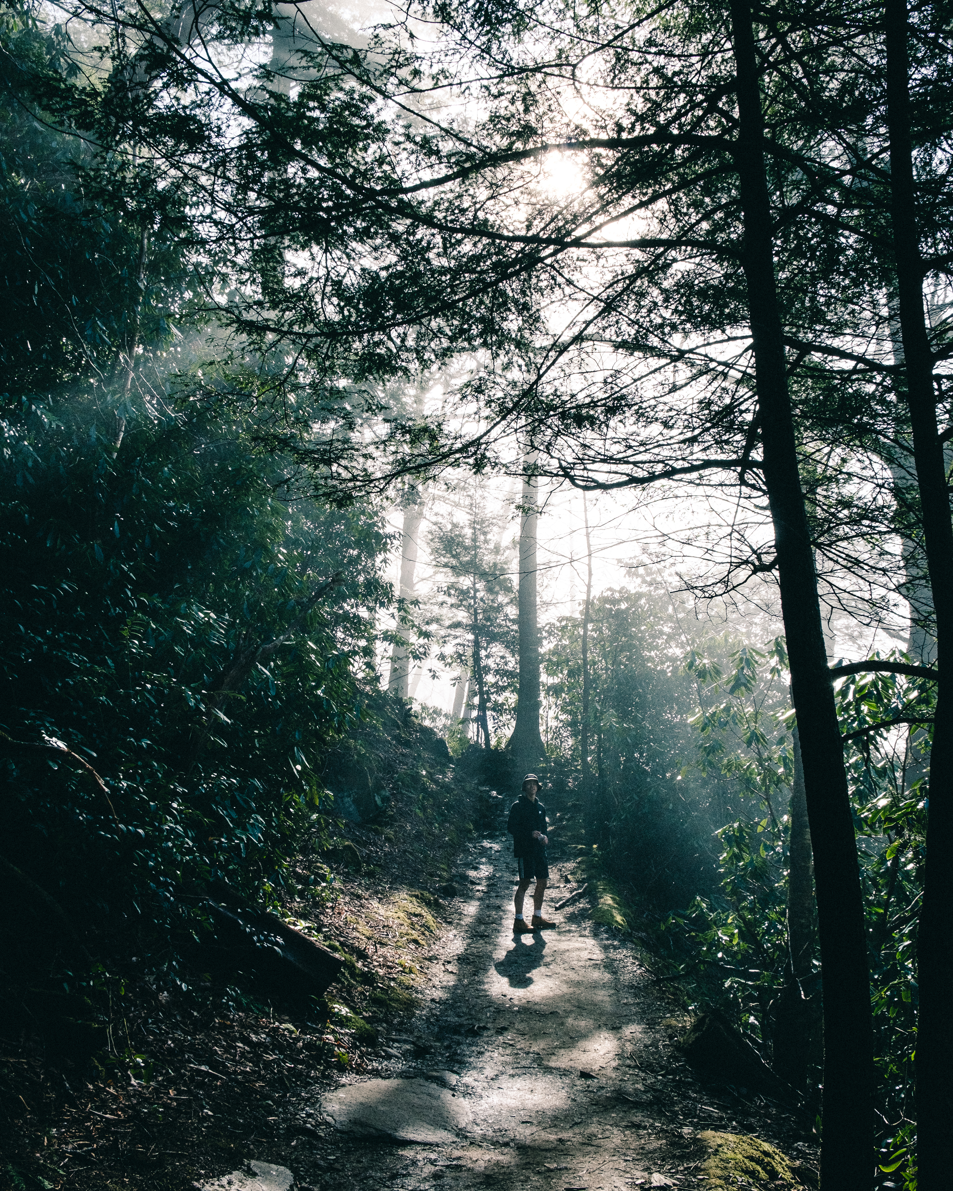 Max Mitchell | spring_break, 2020