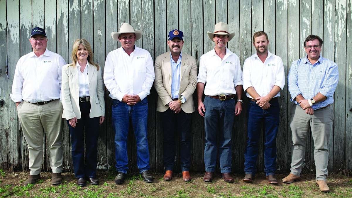 Elke Cleverdon Elected To Cattle Australia’s Board Of Directors For ...