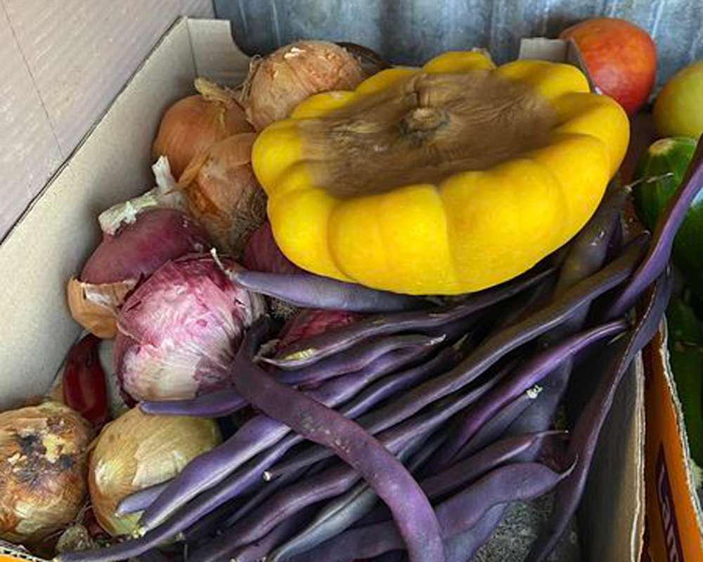 Boorowa’s Community Food Hub Meets More Than One Need | The Hilltops ...