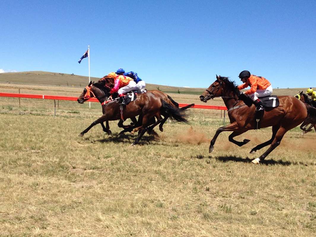 Harden And District Picnic Race Club Hosts 40th Annual Race Meeting ...