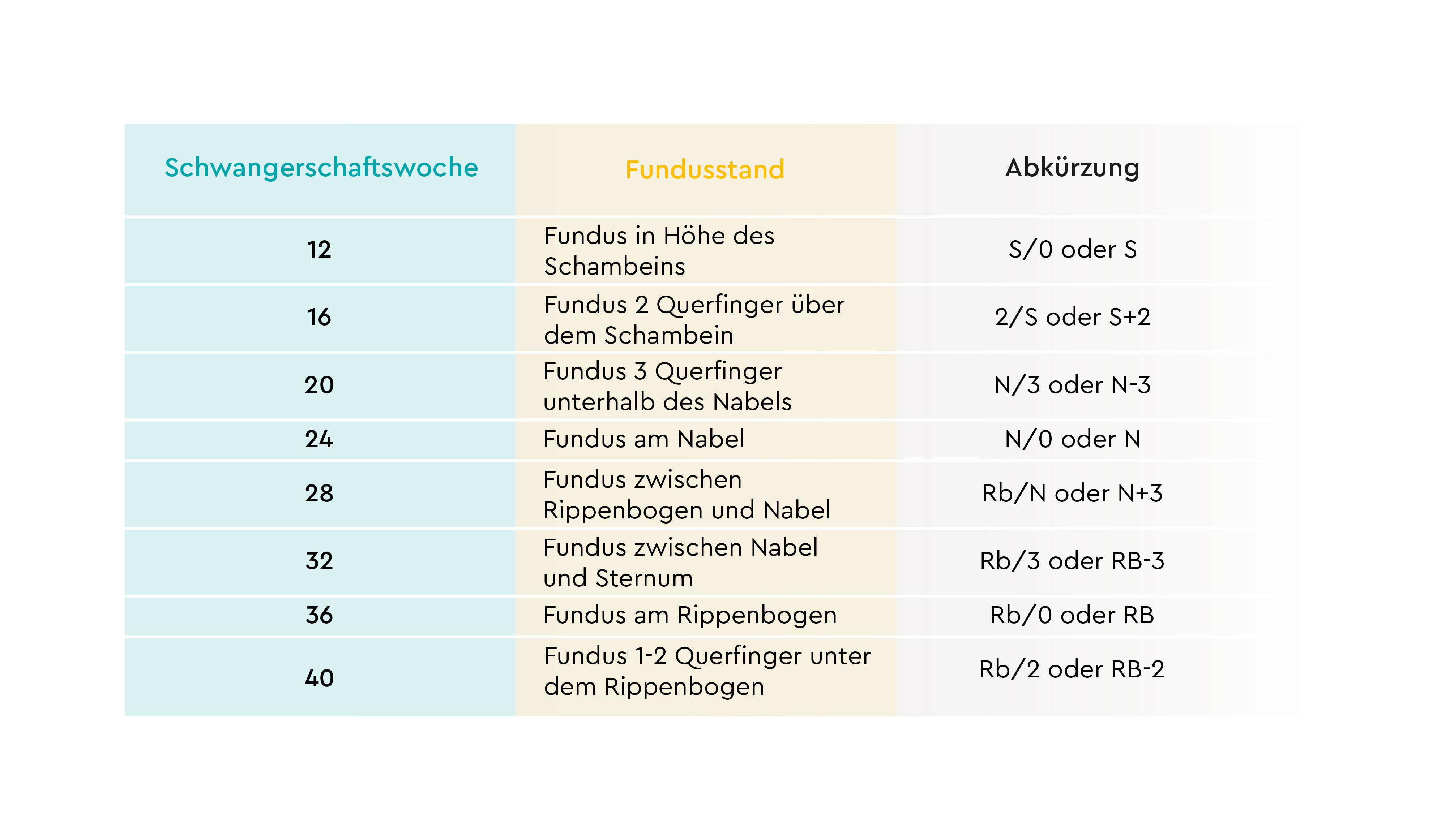 Der Fundusstand | LILLYDOO Magazin
