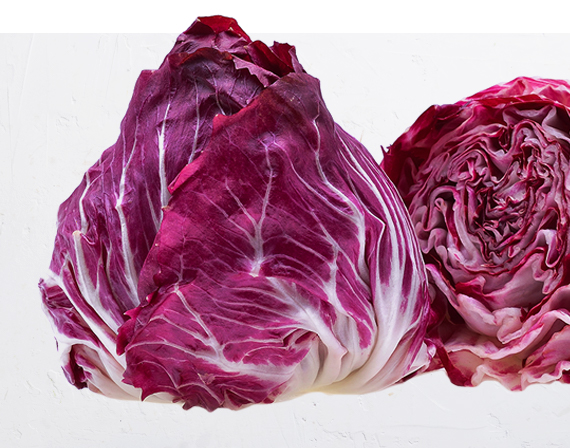 Radicchio Lettuce