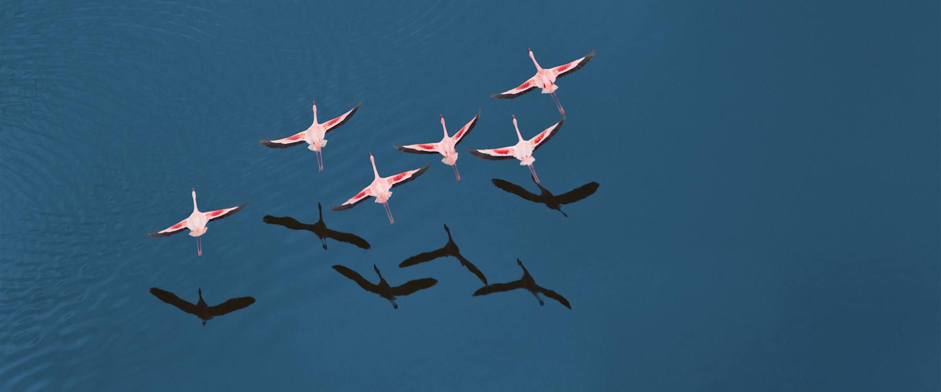 Robeco publishes 2022 Stewardship Report