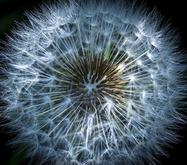 Fossil fuel alternatives | Robeco USA