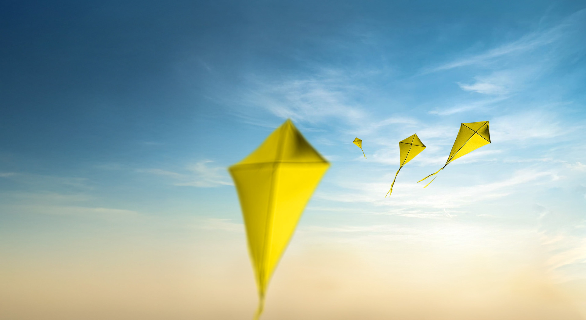 Six choses à savoir sur les ETF actifs | Robeco France