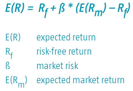 Capital Asset Pricing Model | Robeco Singapore