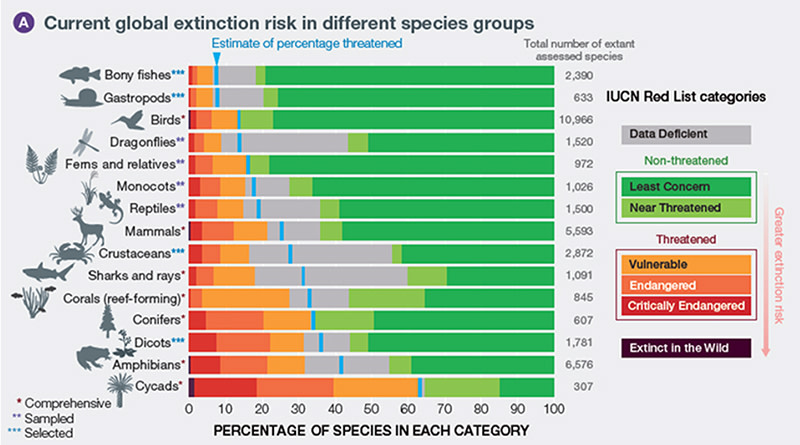 Bending the curve: Investing in biodiversity as an economic necessity ...