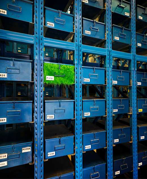 SFDR classification: ‘Good things take time’ | Robeco Global