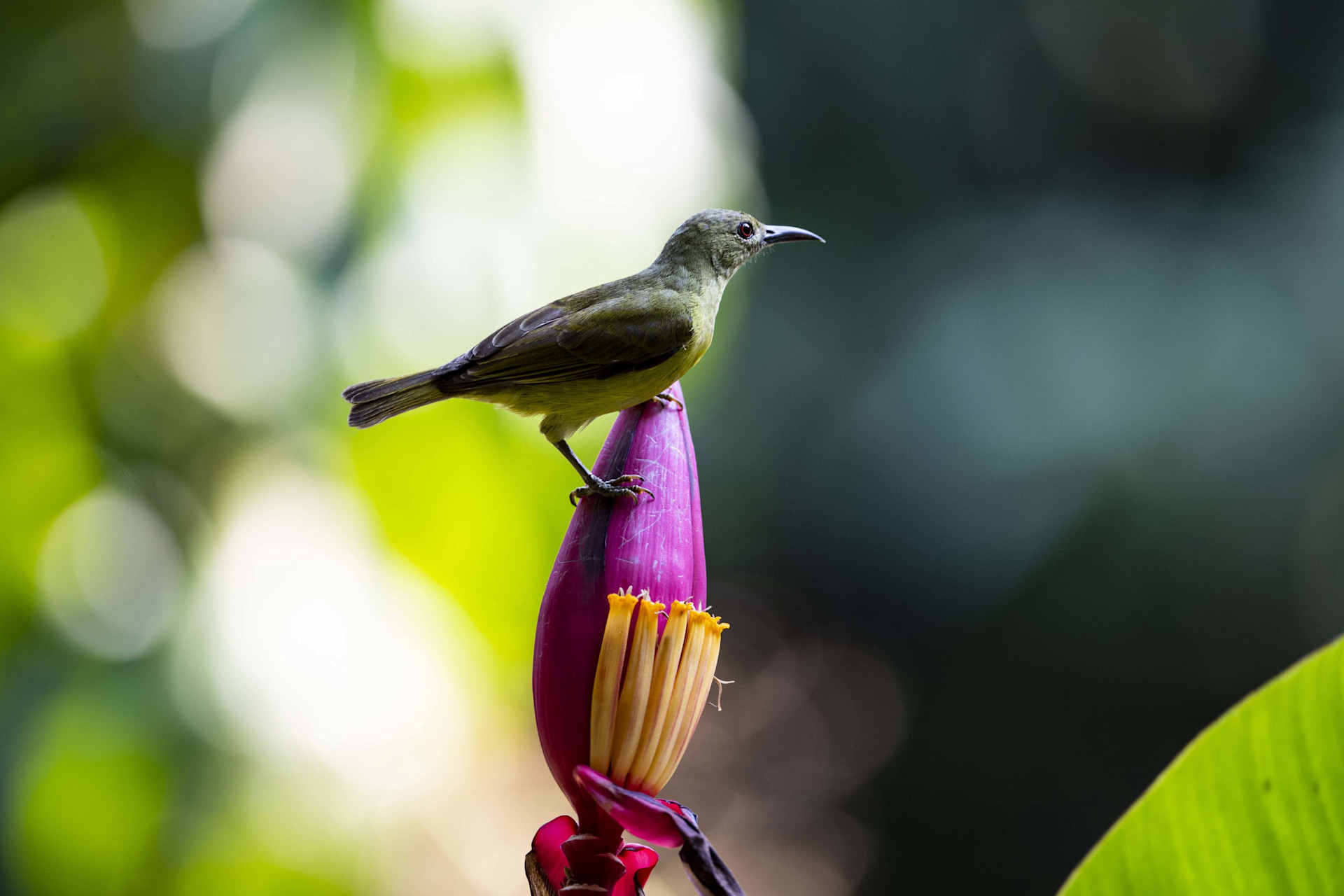 Biodiversity investing: the transition to a more nature-positive world ...