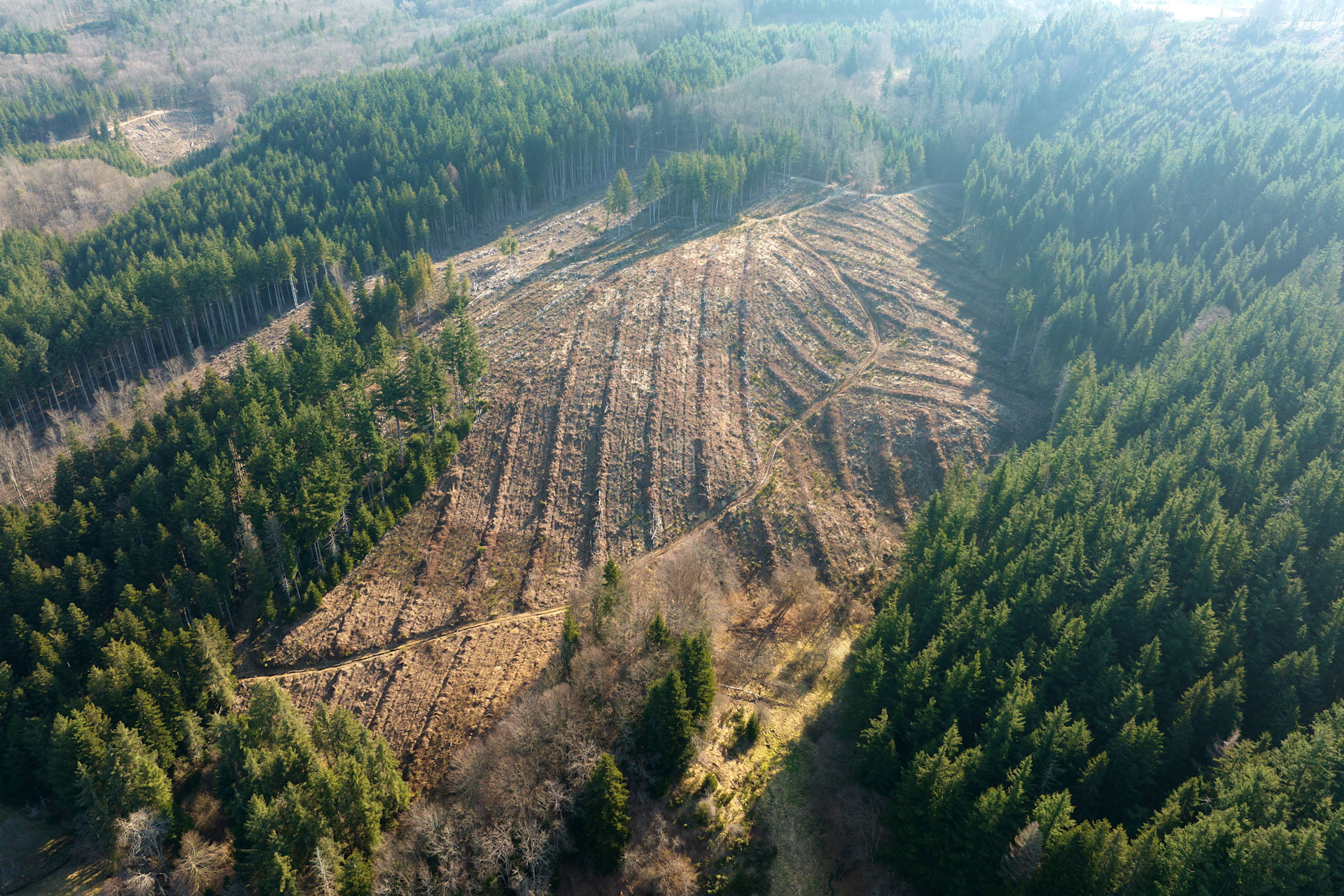 Closure of deforestation theme leads Q2 Active Ownership report ...