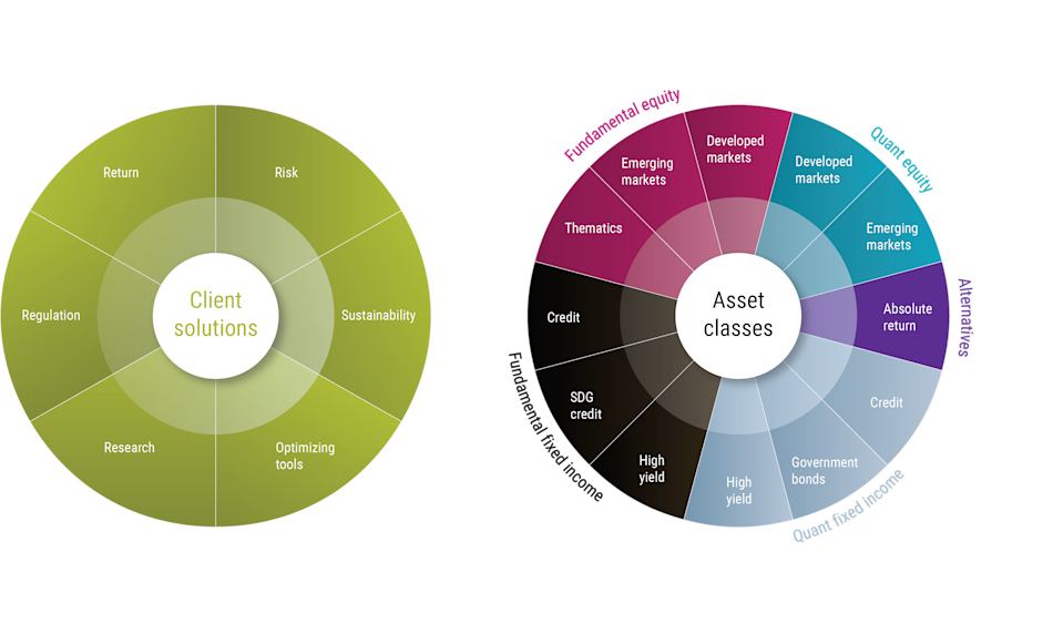 Investment Solutions | Robeco Global