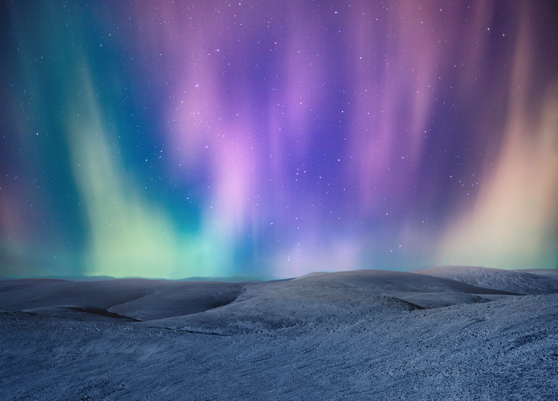 Equity outlook: Guarded optimism | Robeco USA