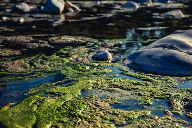 Sustainable Water | Robeco Global