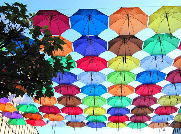 Sustainable transition investing | Robeco Global