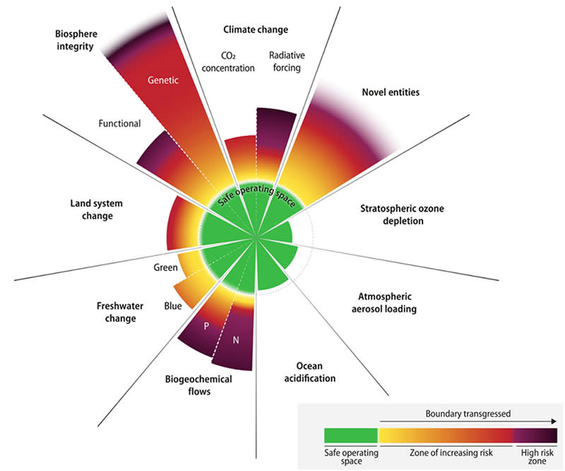 Ocean life and hazardous chemicals lead 2024 engagement themes | Robeco ...